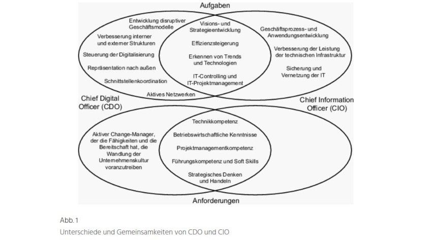 5-Fragen-Check für CIOs: So macht der CIO den CDO überflüssig | CIO DE