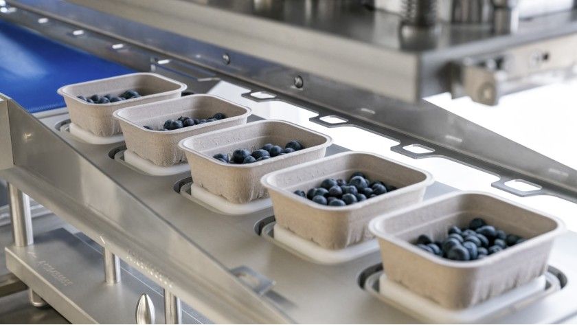 Industrial IoT: Multivac entwickelt IoT-Dienste für die Industrie | CIO DE